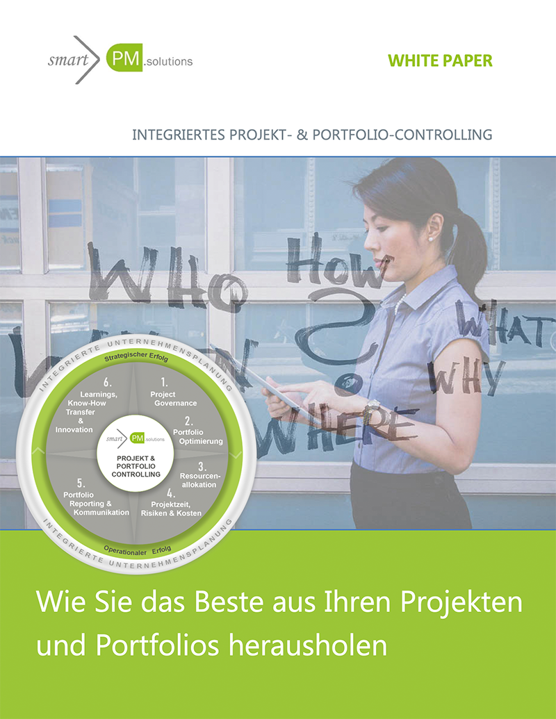 Whitepaper zu Project Performance Management - smartpm.solutions